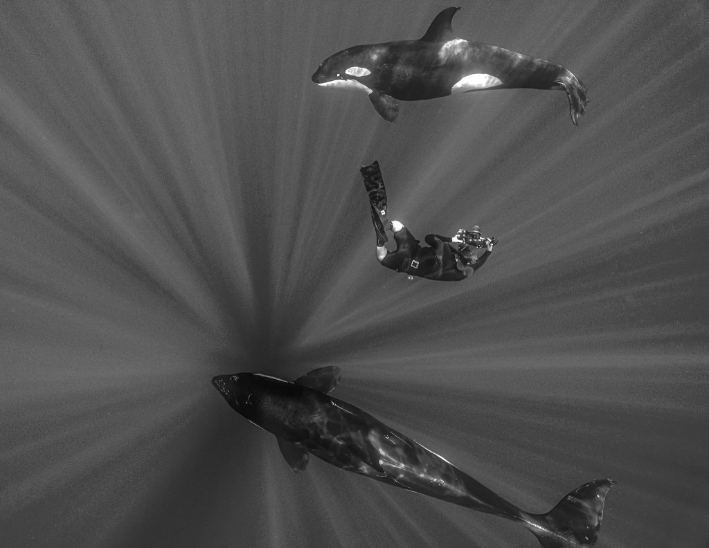 Home - Aquatica